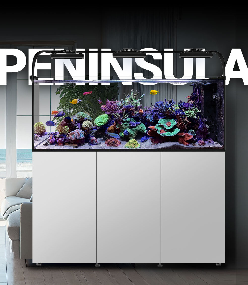 INFINIA PENINSULA 4820