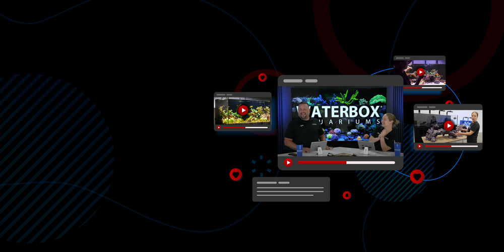 Waterbox Aquariums - Freshwater and Saltwater Aquarium Systems