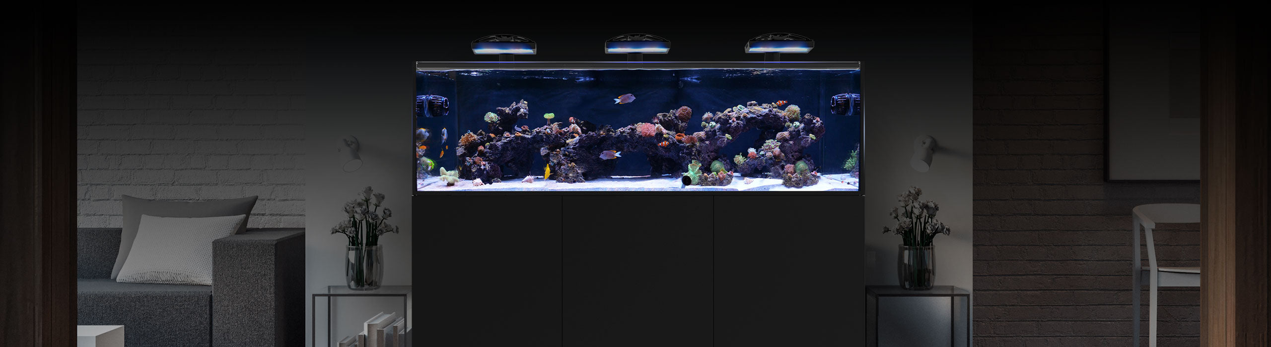 Waterbox Aquariums - Freshwater and Saltwater Aquarium Systems