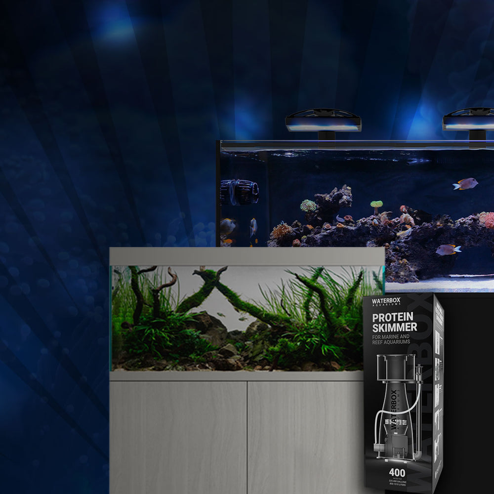 Waterbox Aquariums - Freshwater and Saltwater Aquarium Systems